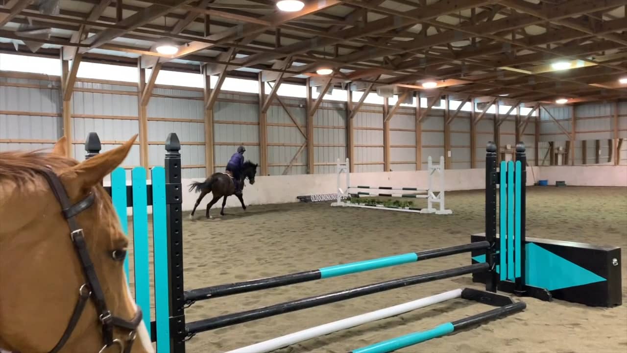 Exercise 2: Counting Strides and Adjustability on Vimeo