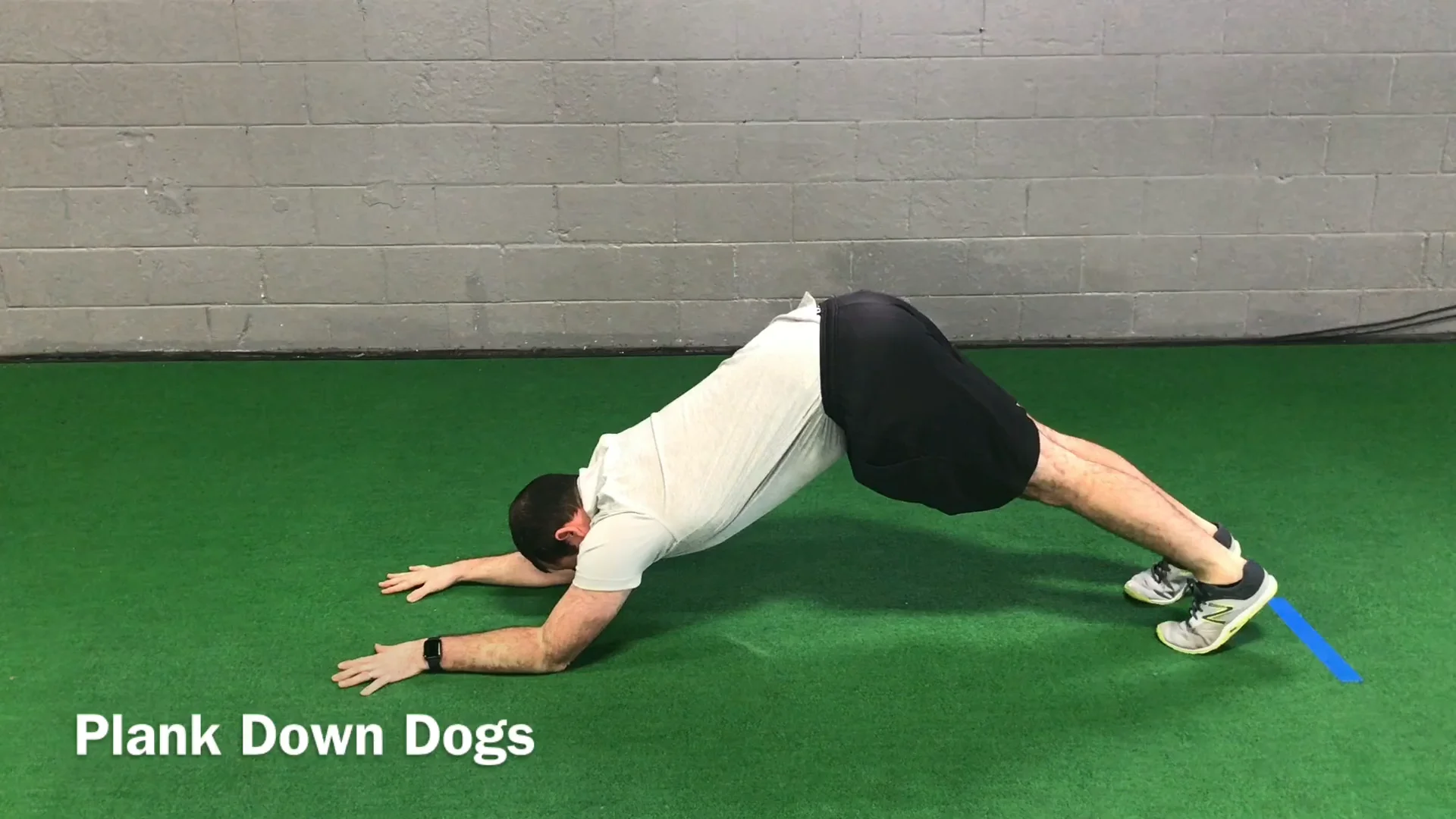 Plank Down Dogs on Vimeo