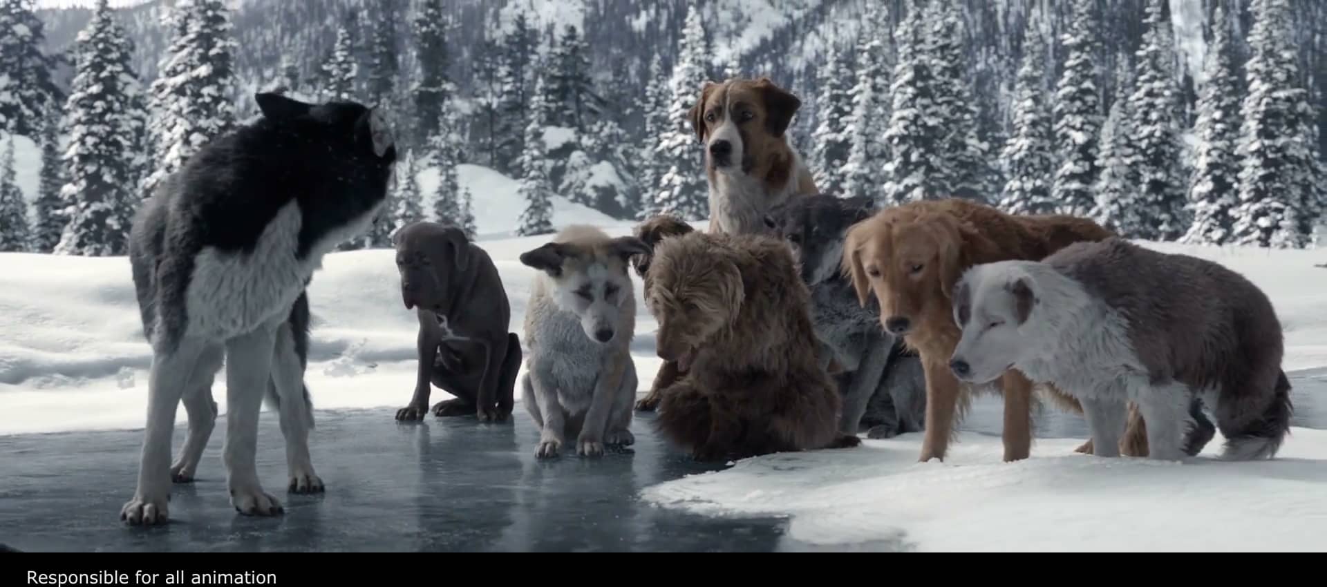 Call of the Wild Animation Reel on Vimeo