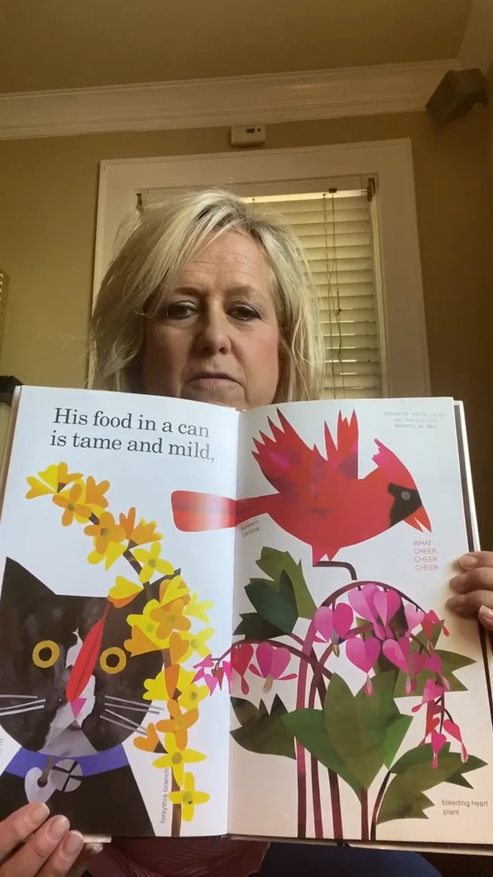Feathers for lunch. By Lois Ehlert on Vimeo
