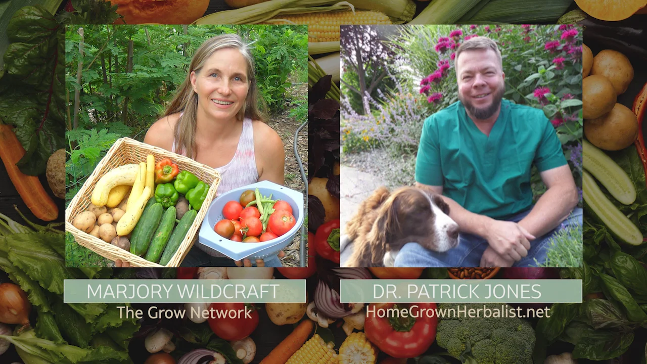 Dr. Patrick Jones - Kitchen Medicine II: More Medicinal Herbal ...