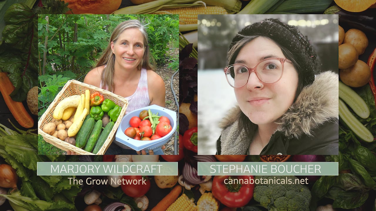 Stephanie Boucher - Cannabis In The Kitchen on Vimeo