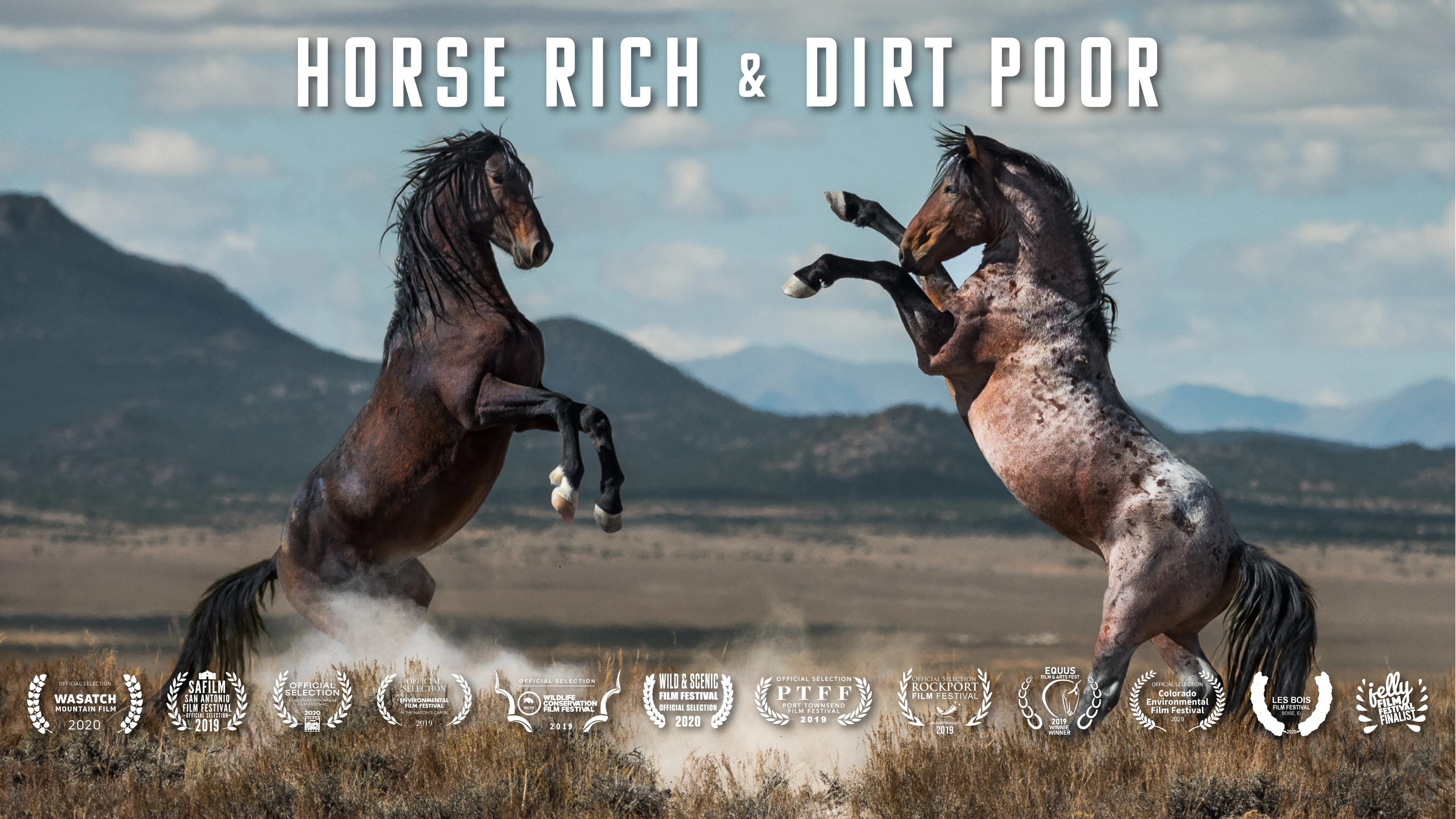 Horse Rich and Dirt Poor