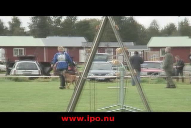 Maria Fredin & Complett´s Viggi (Malinois) on Vimeo