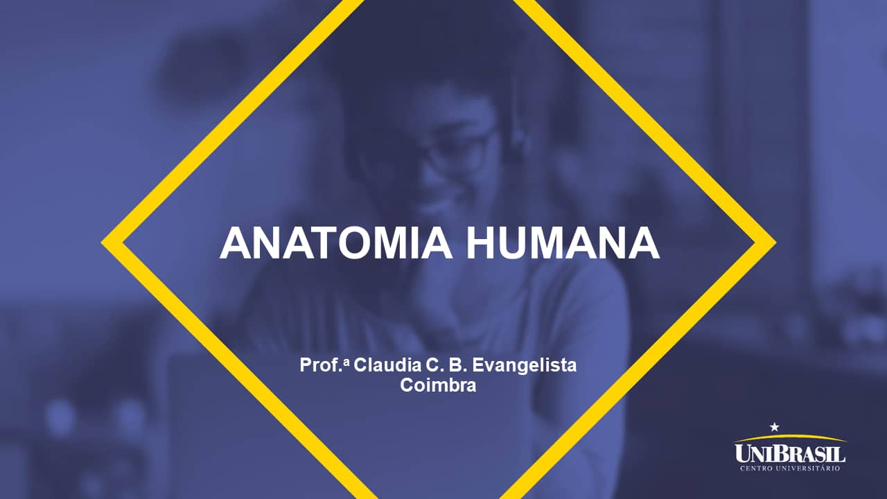 UNIDADE 01 - PARTE 03 - ANATOMIA HUMANA - PROF CLÁUDIA EVANGELISTA ...