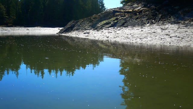 Mud Videos: Download 39+ Free 4K & HD Stock Footage Clips - Pixabay