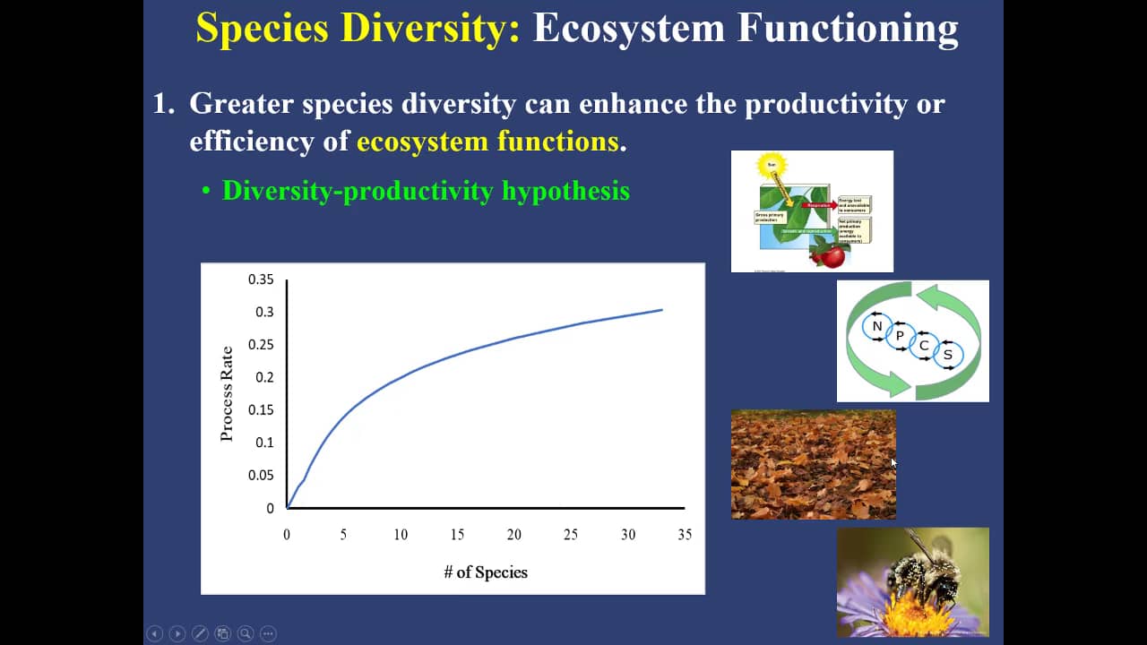 Importance of Species Diversity on Vimeo