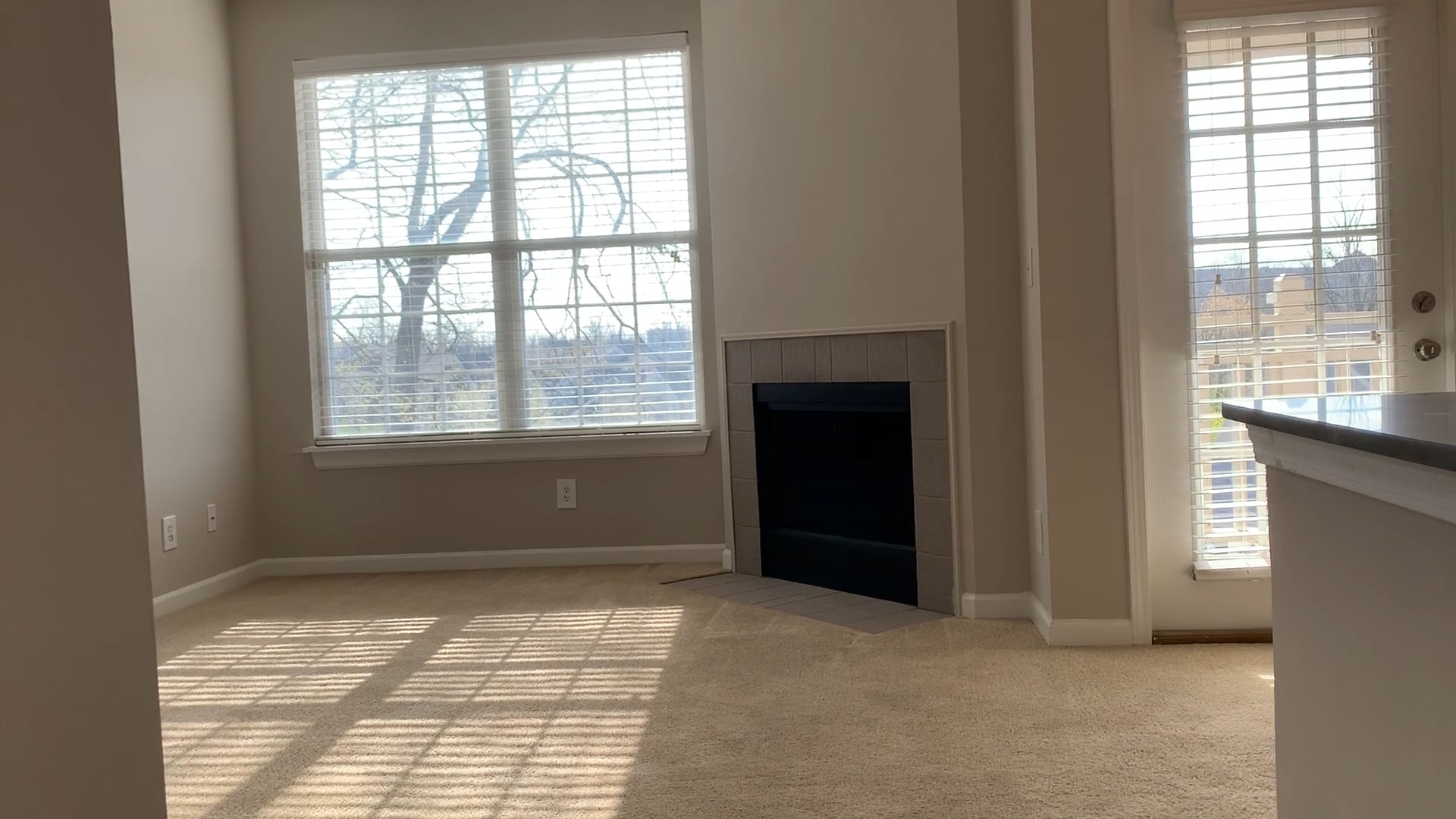 Maple Woods on Vimeo