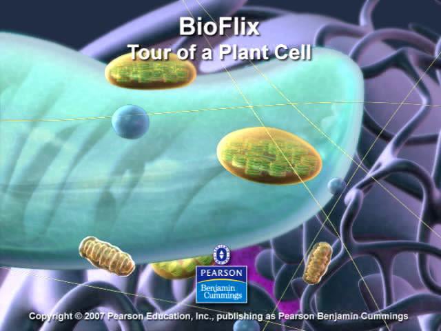 Tour of plant cell on Vimeo