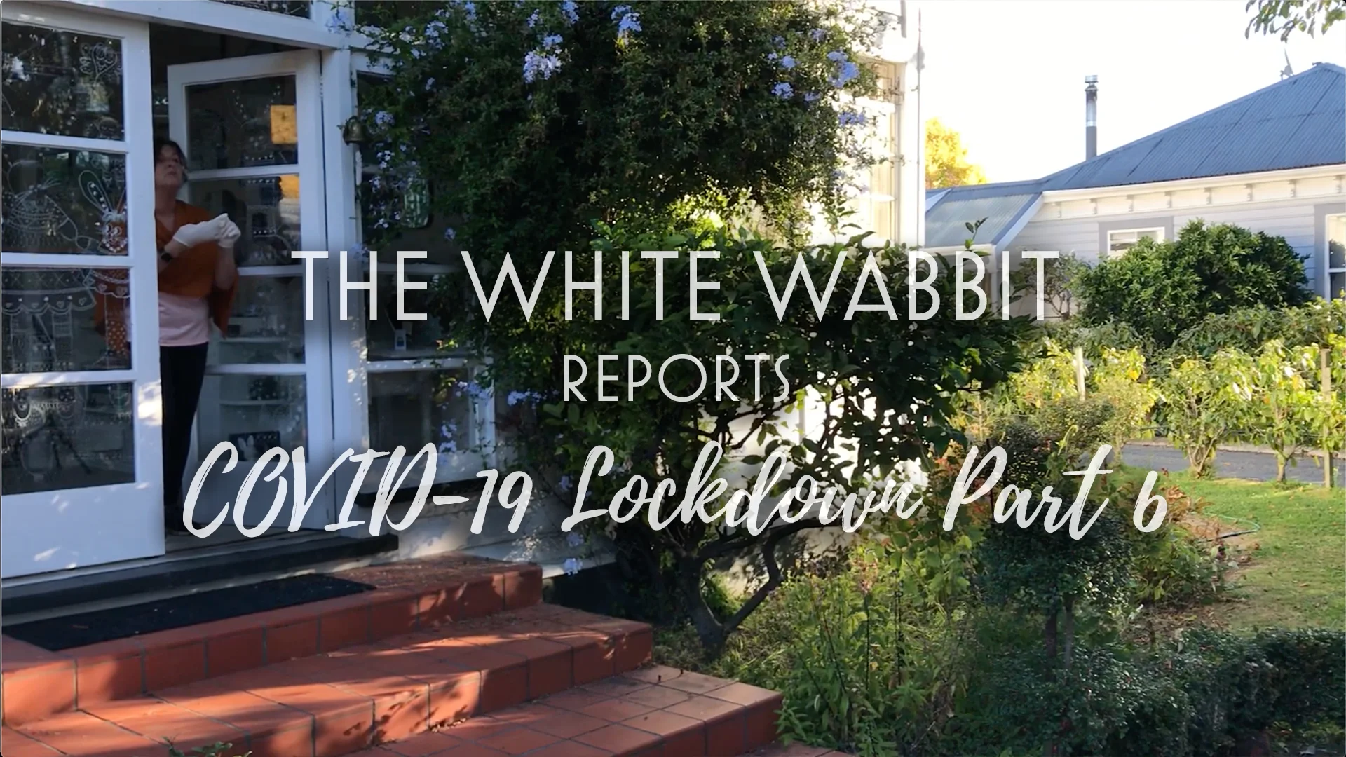 The White Wabbit in Lockdown - Update #6 on Vimeo