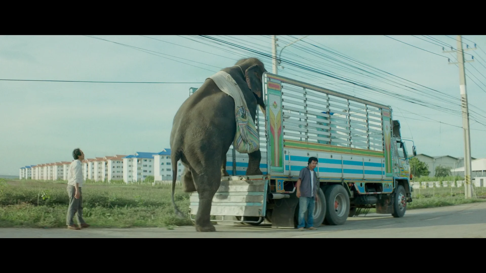 Watch POP AYE Online | Vimeo On Demand on Vimeo