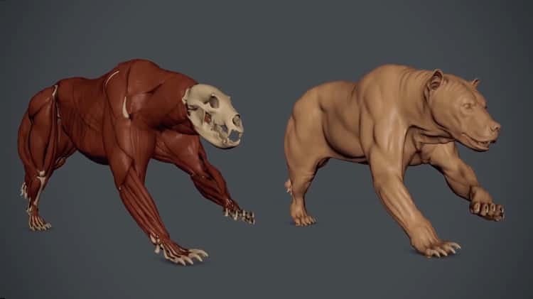 Bear Run Cycle