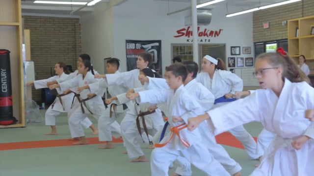 Shotokan Karate Arizona on Vimeo