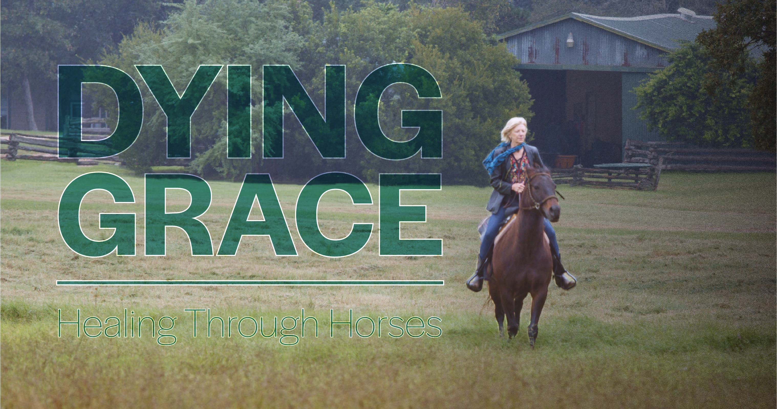DYING GRACE: Healing Through Horses on Vimeo