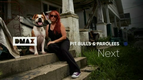 DMAX UK Cross Channel Menu - FTA Rebrand on Vimeo