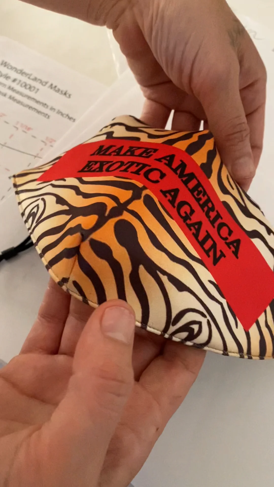 Megan explains Dart on Vimeo