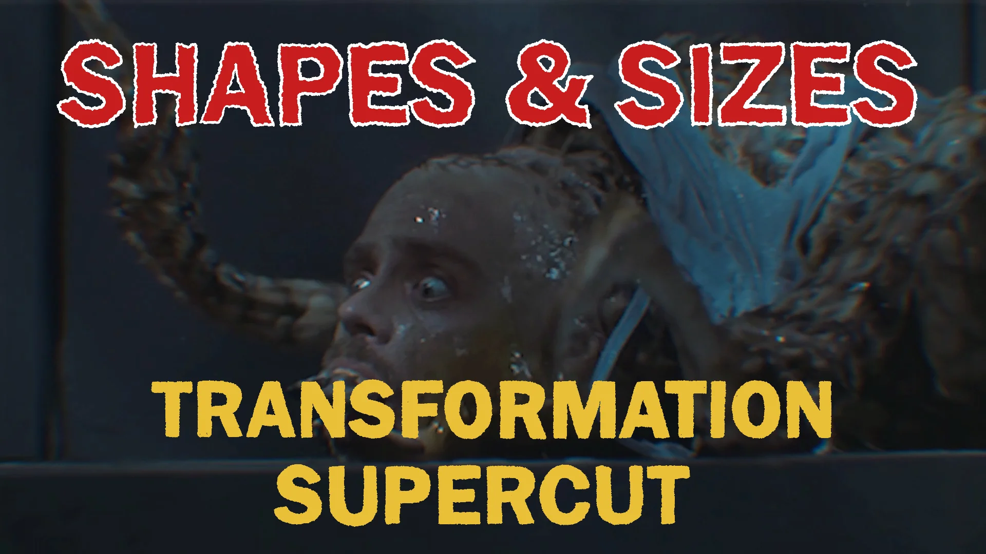Shapes & Sizes - Transformation Supercut