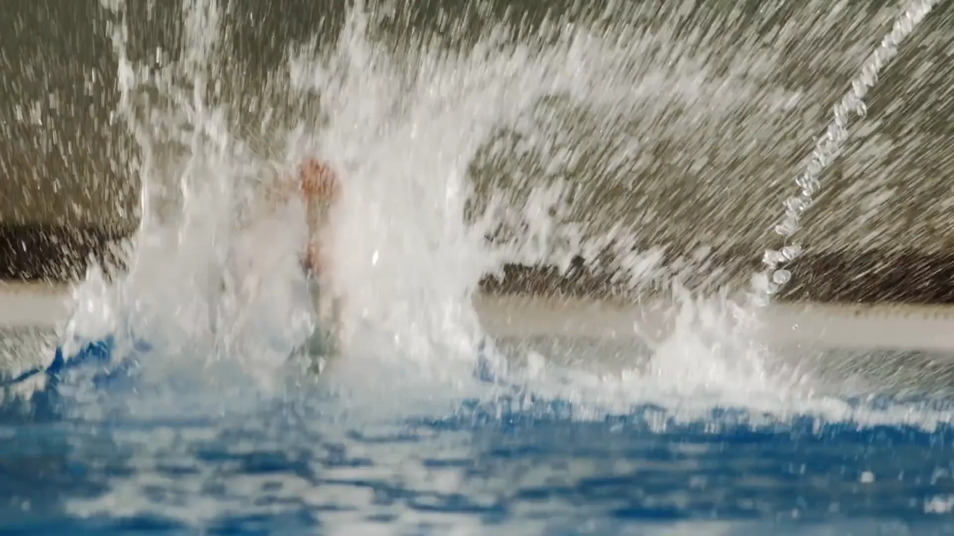 Watch School Full of Fish Online | Vimeo On Demand on Vimeo