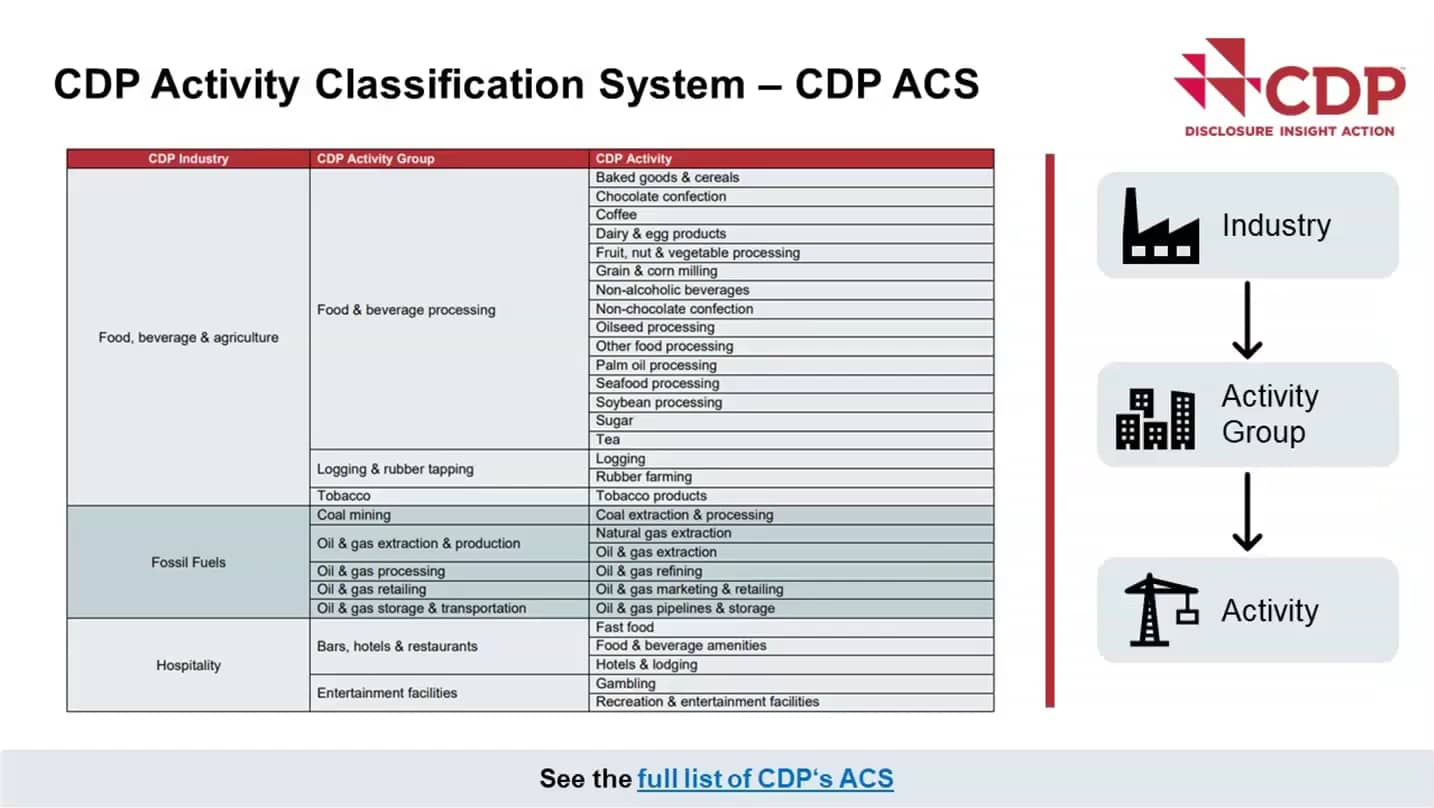 Getting started with CDP disclosure on Vimeo
