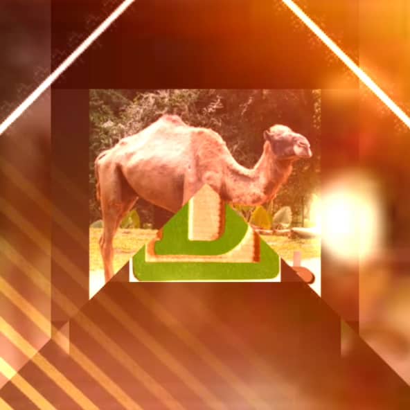 Alphabet rubix #8 on Vimeo