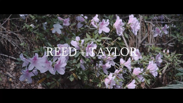 taylor and Reed on Vimeo