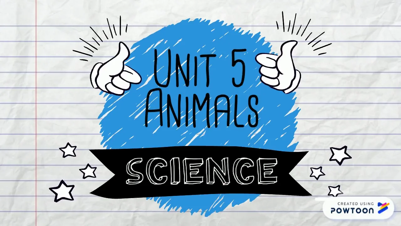 Unit 5: Animals on Vimeo