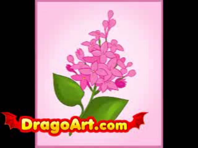 How to draw lilacs, step by step on Vimeo