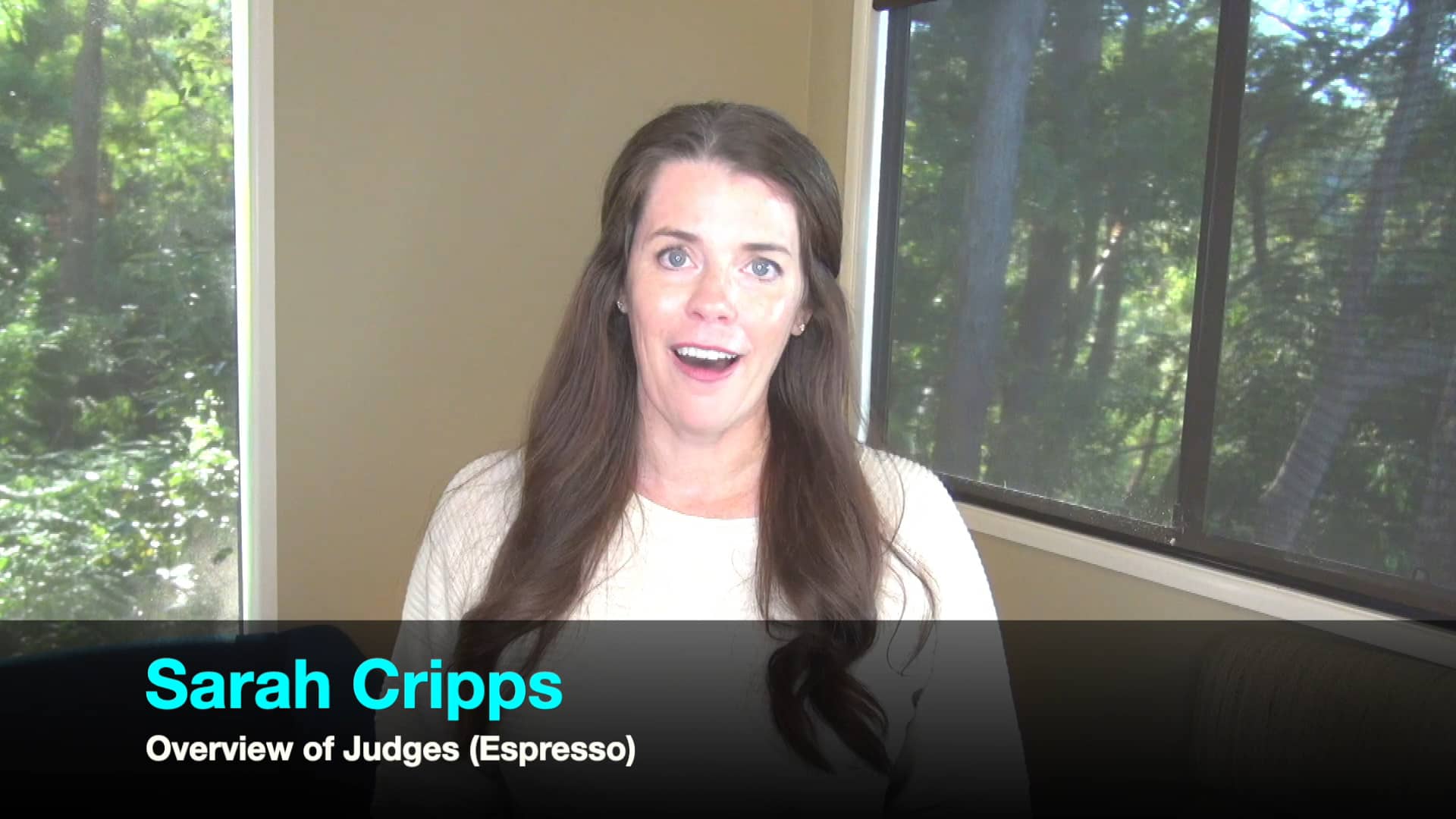 Sarah Cripps - Judges Overview on Vimeo