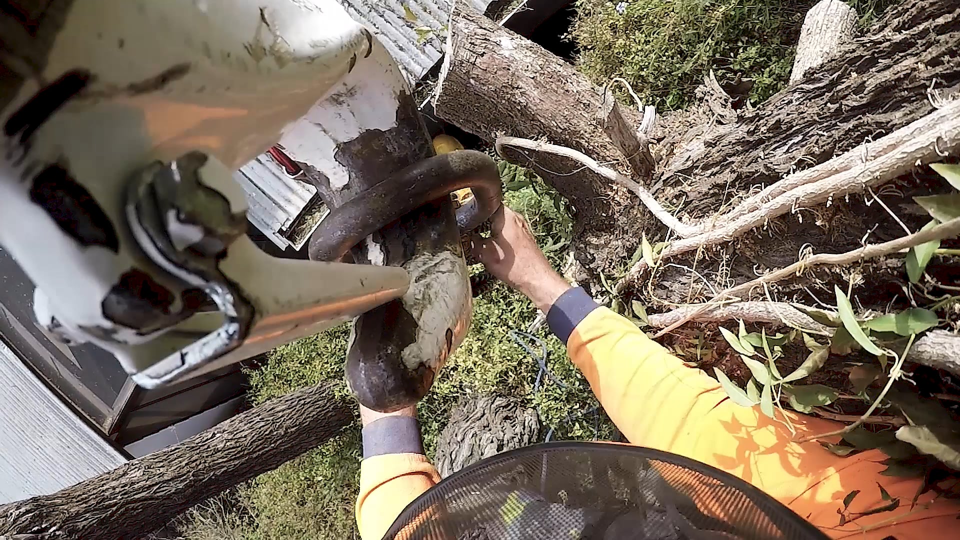 Arbortec Tree Services Dubbo October 2019 on Vimeo