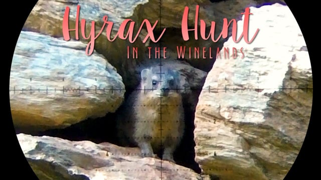 Hyrax Hunt in the Winelands - Random Hunts, Vol.12 - Airgun101