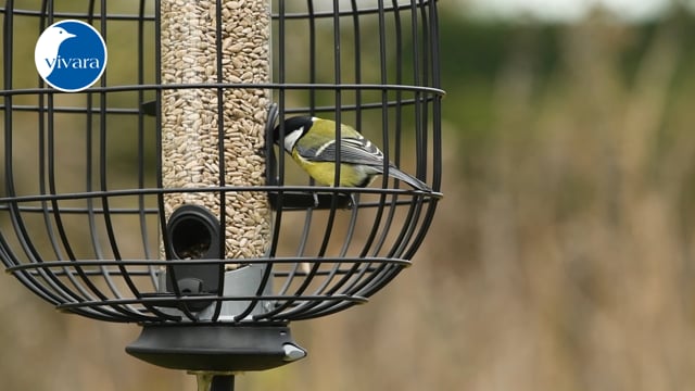 Apollo Guardian for 3 Port Seed Feeder
