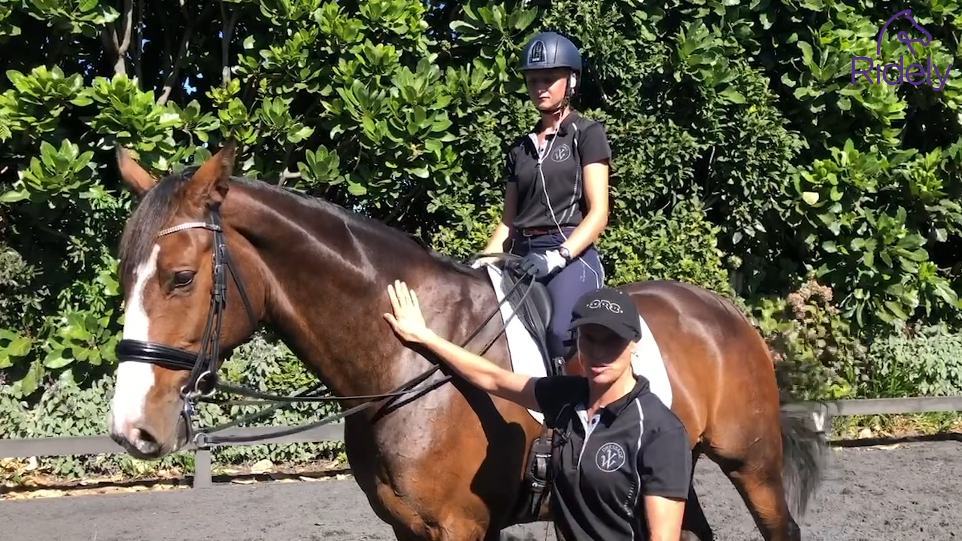 The fundamentals of shoulder in | Ridely