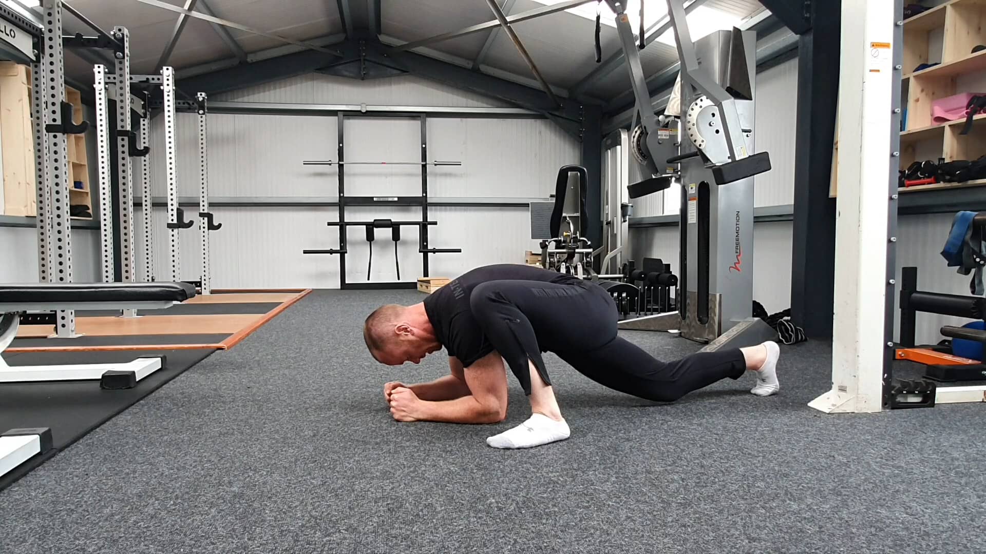 Lizard Stretch on Vimeo