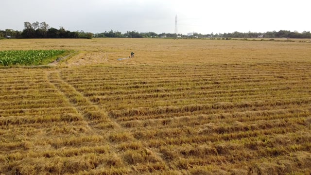 70+ Free Crops Field & Field Videos, HD & 4K Clips - Pixabay