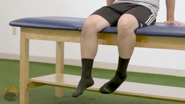 Long Arc Quads After Acl Repair