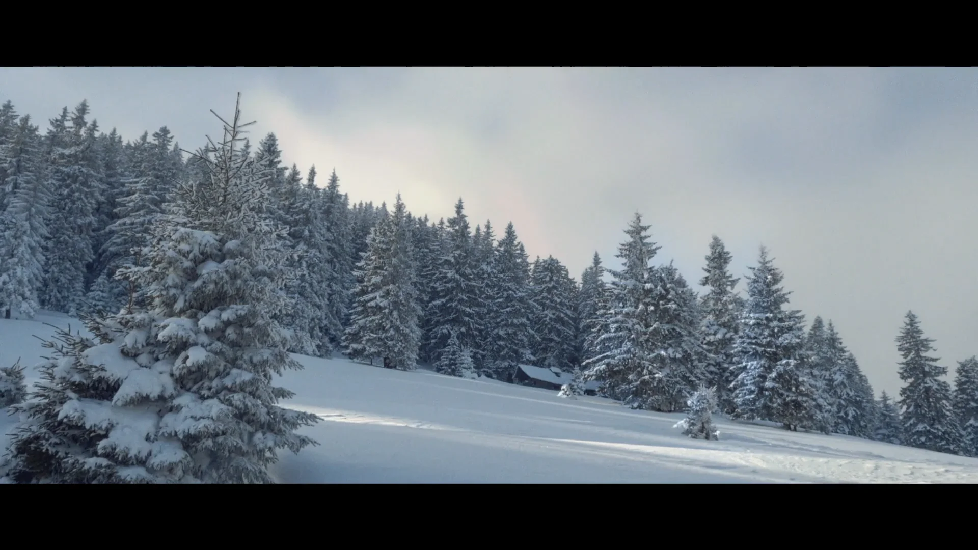 "Snowbound" Movie Trailer
