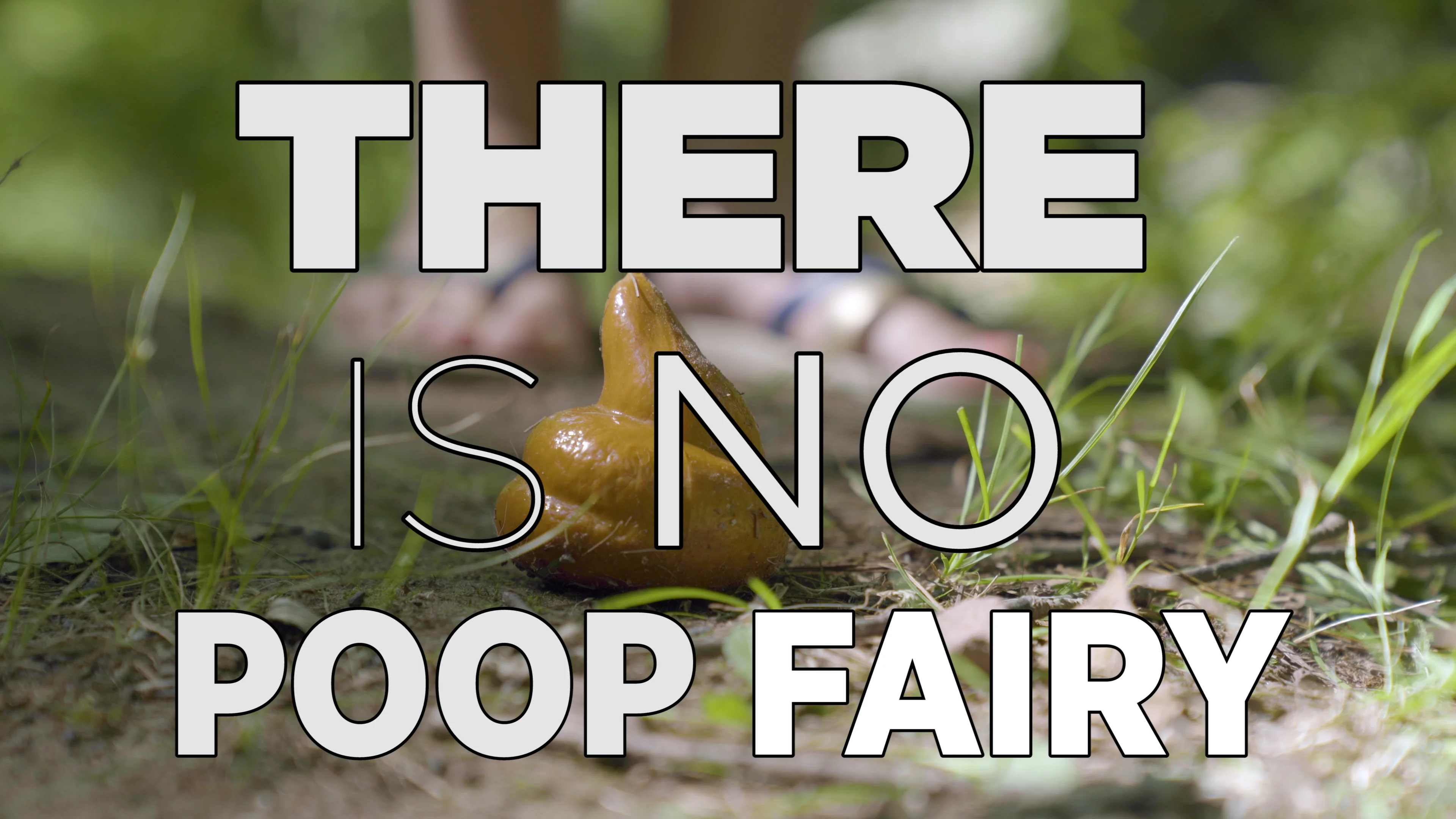 THERE IS NO POOP FAIRY (30 SECOND) on Vimeo