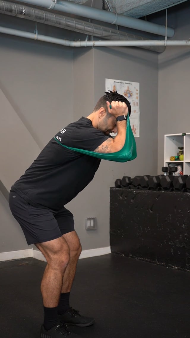 Serratus Anterior Exercises With Theraband