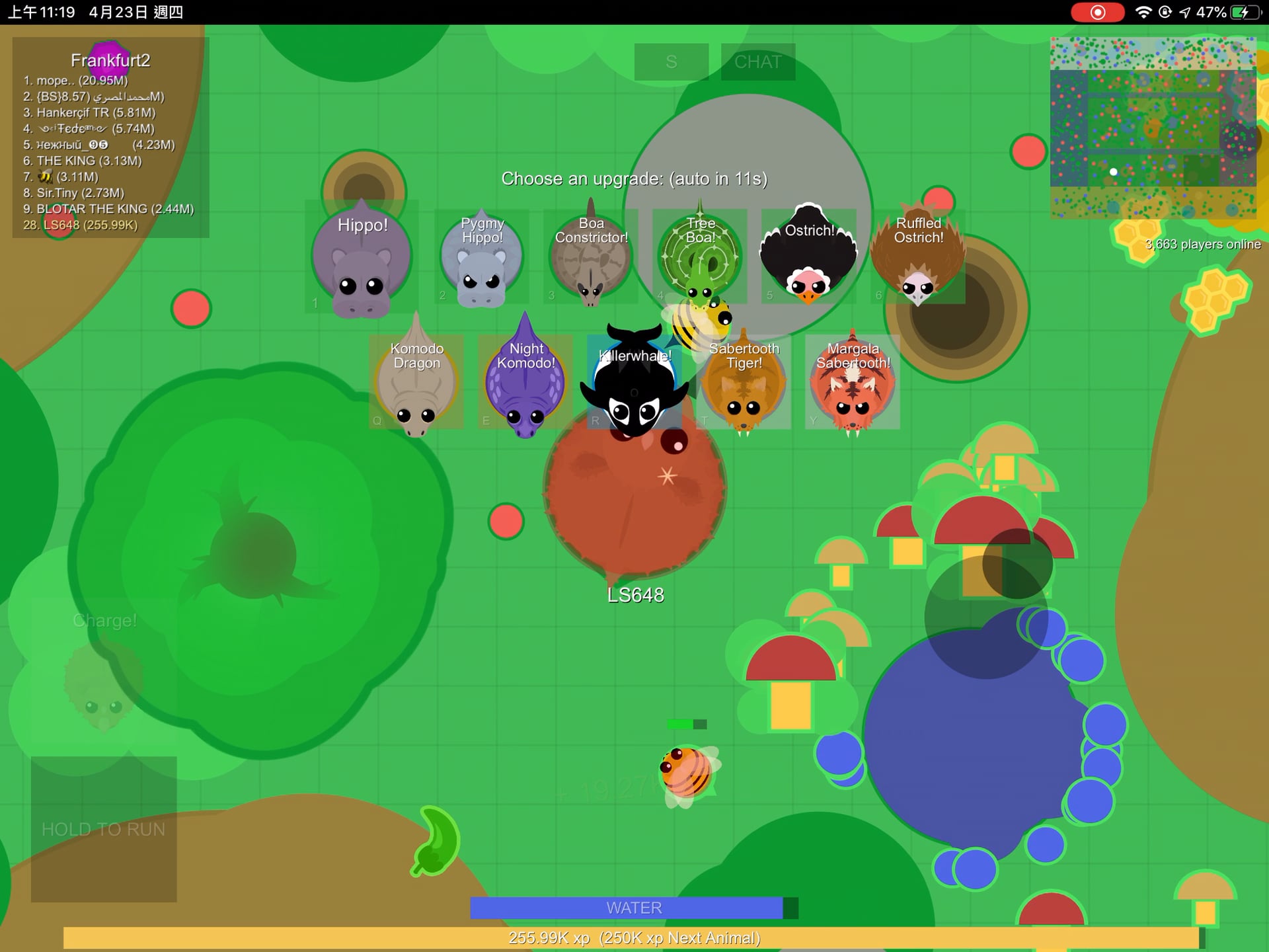 mope.io is becoming bees.io - how to upgrade faster - noob vs pro on Vimeo