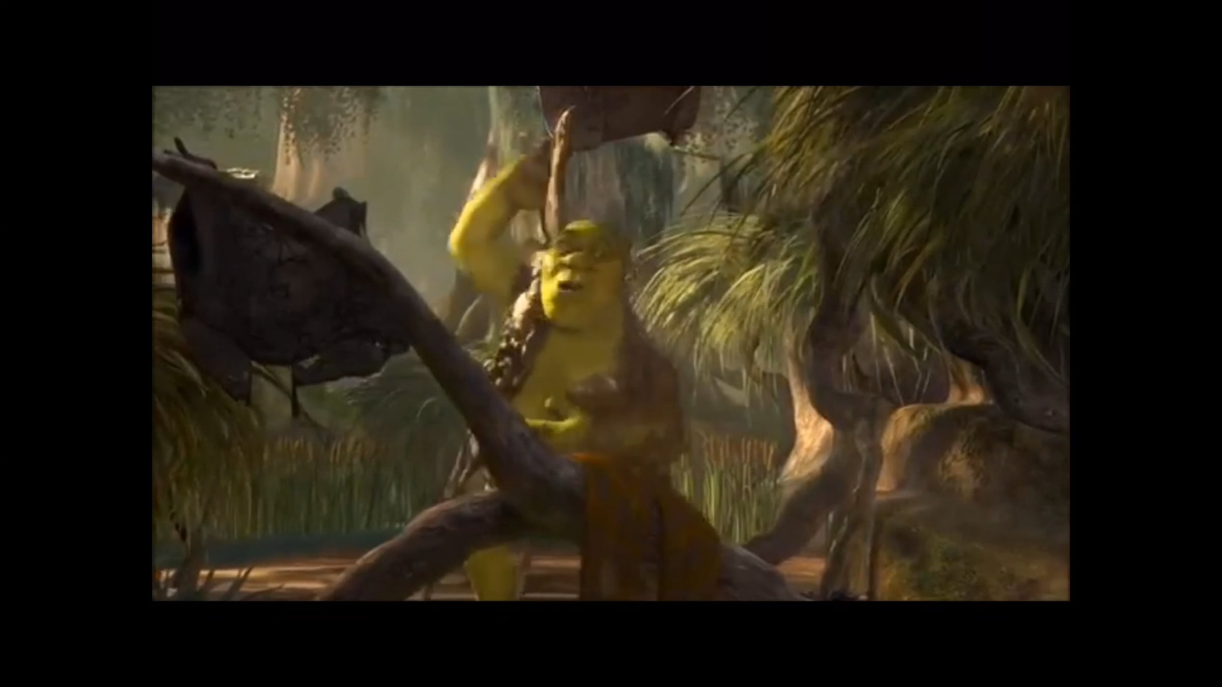 Shrek mud shower/tub