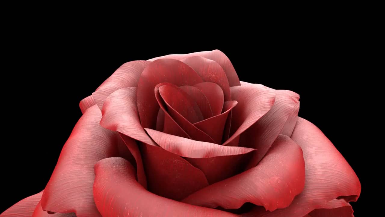 procedural dynamic flower on Vimeo