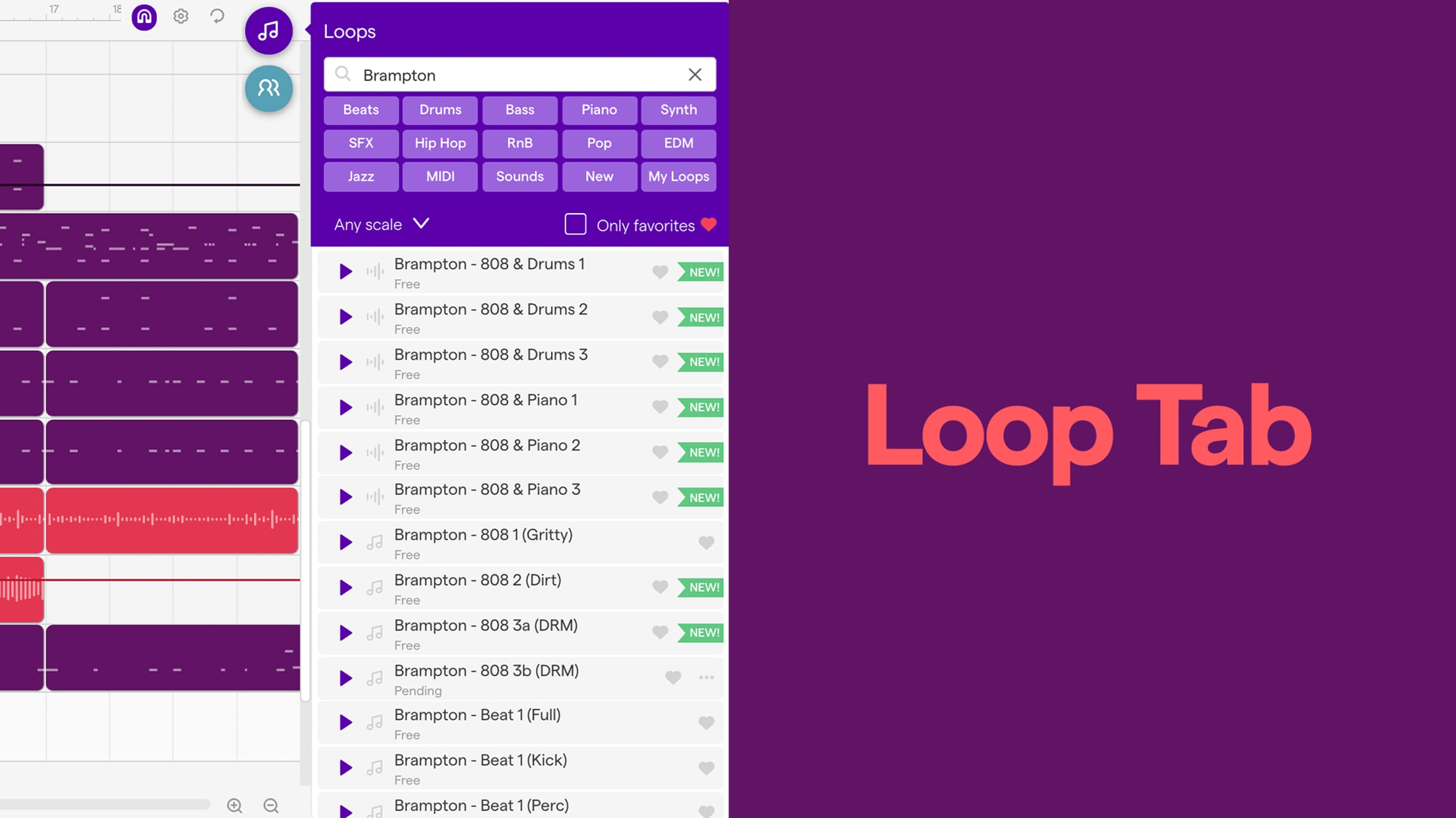 LOOP TAB - navigating & adding loops