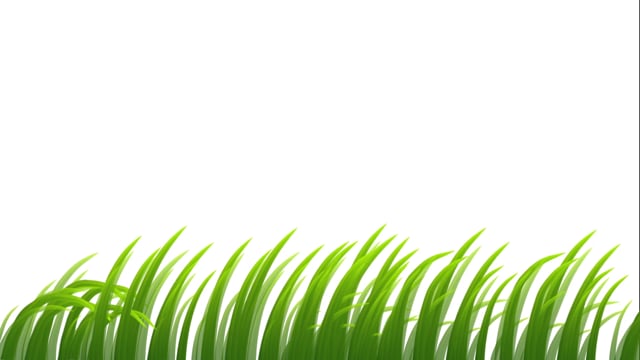 Motion Cartoon Grass - Free video on Pixabay