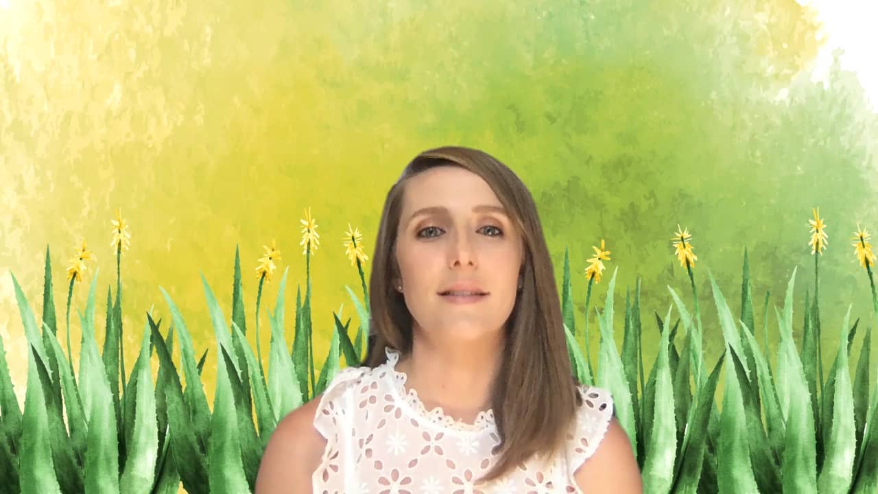 Reengaging Your Customers with Ashley Hower on Vimeo