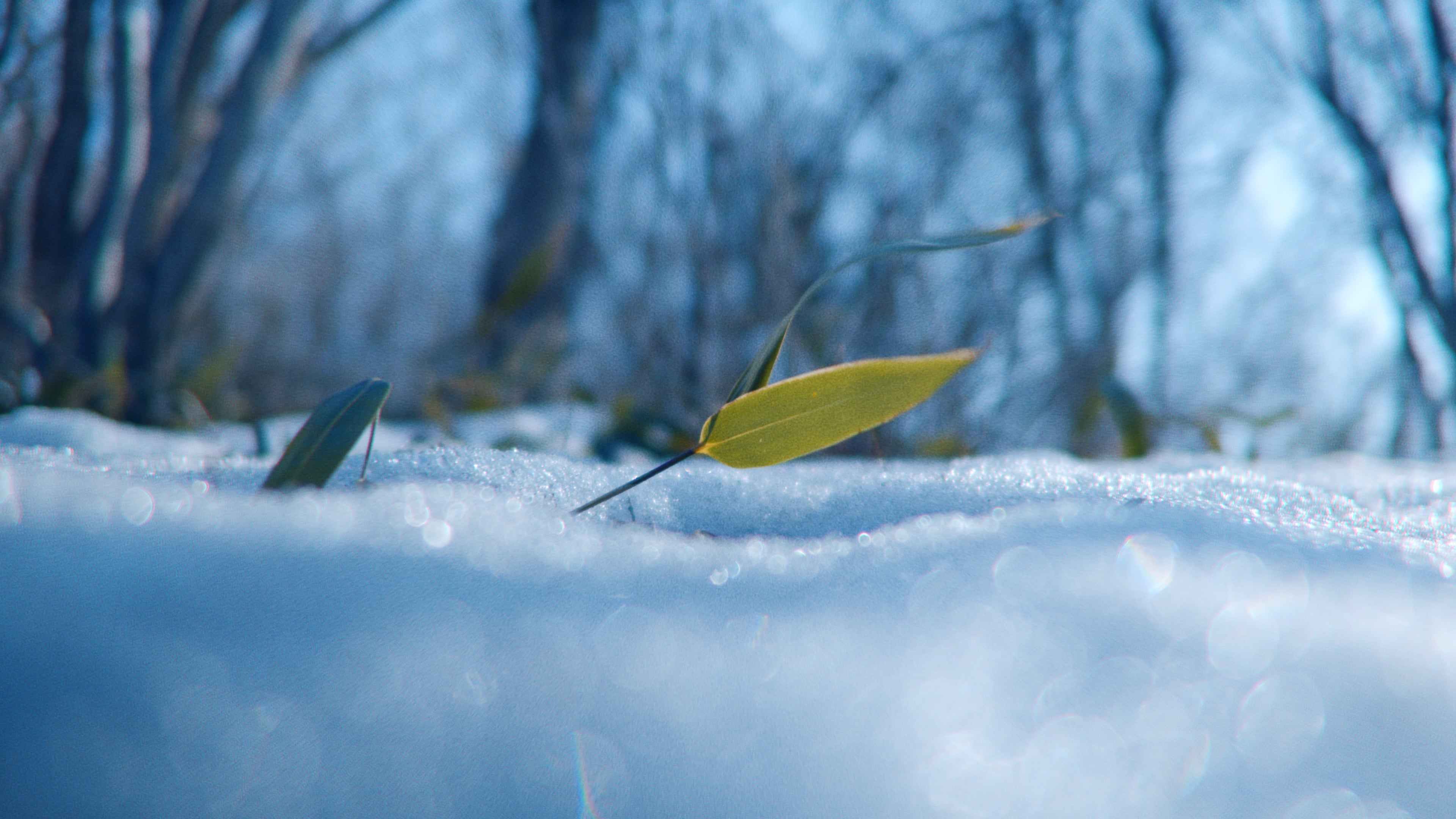 snow, cold breeze, winter sea on Vimeo