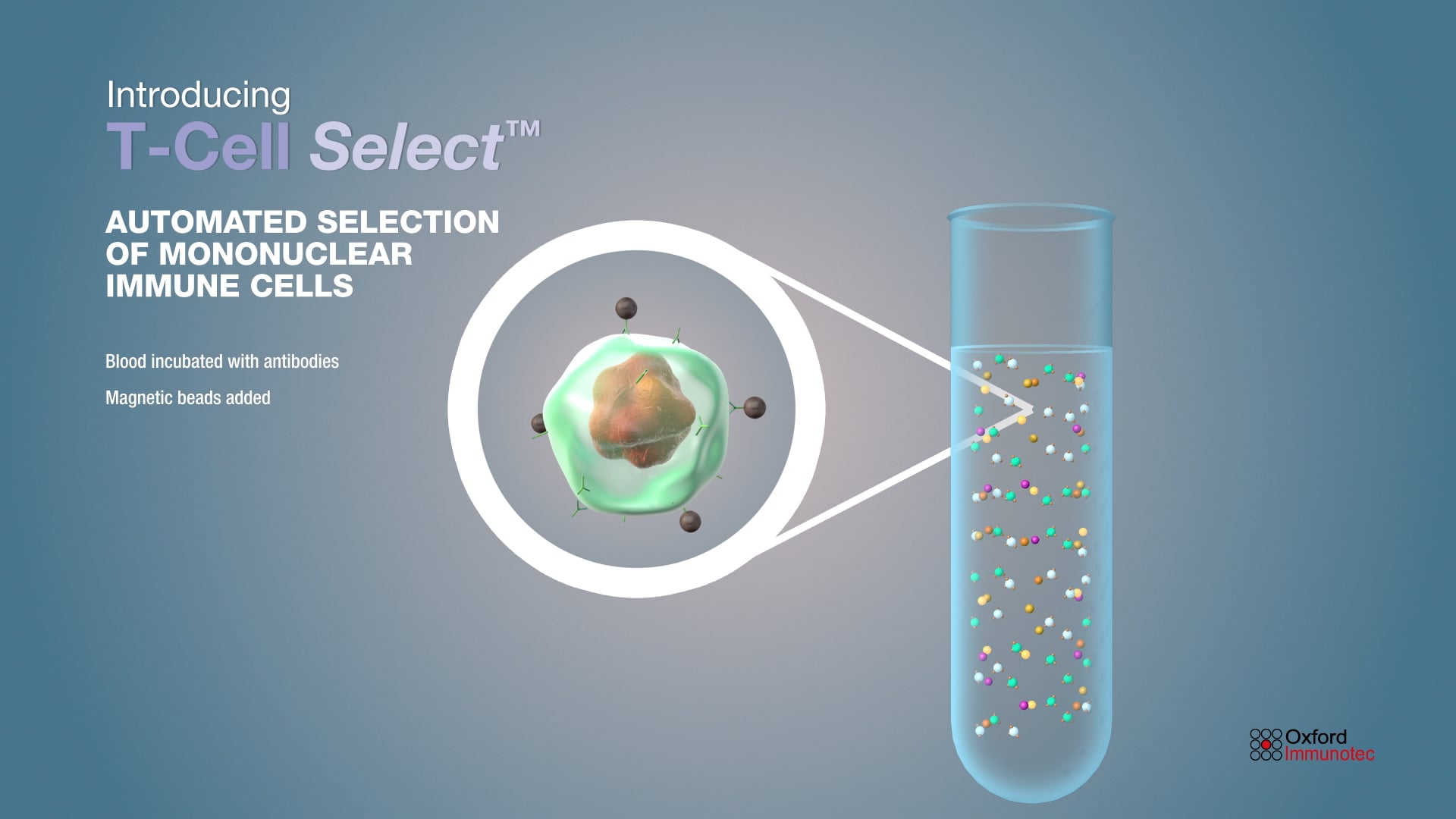 The T-Cell Select reagent kit on Vimeo