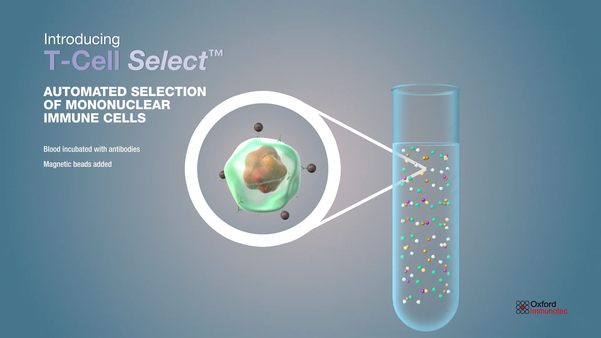 The T-Cell Select reagent kit