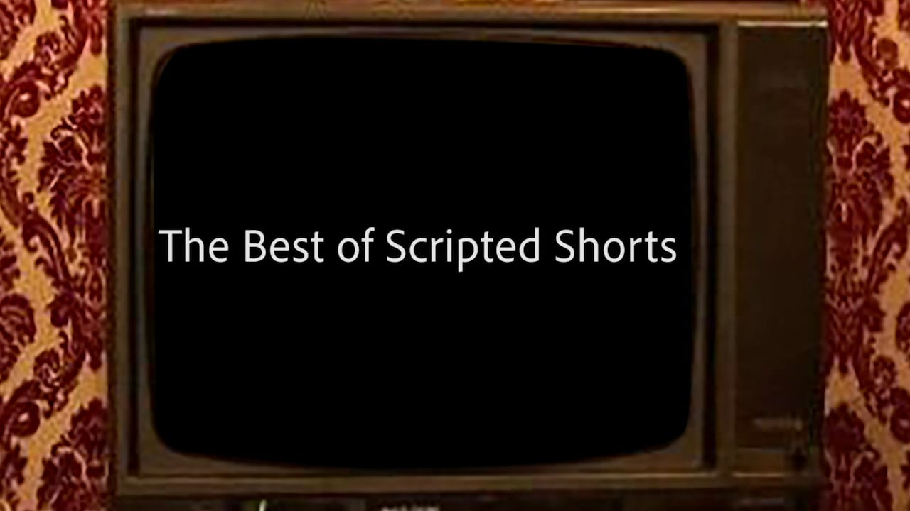 Best of Scripted Shorts in 2020 Digital Media Blast! Quarantine Edition ...