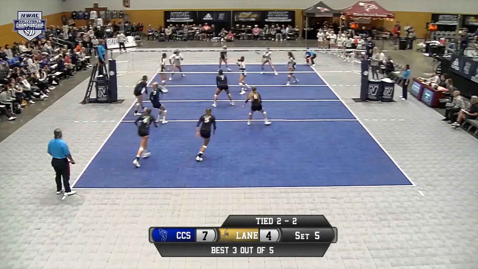 Jordan Shoff - Game Highlights May 2020 on Vimeo