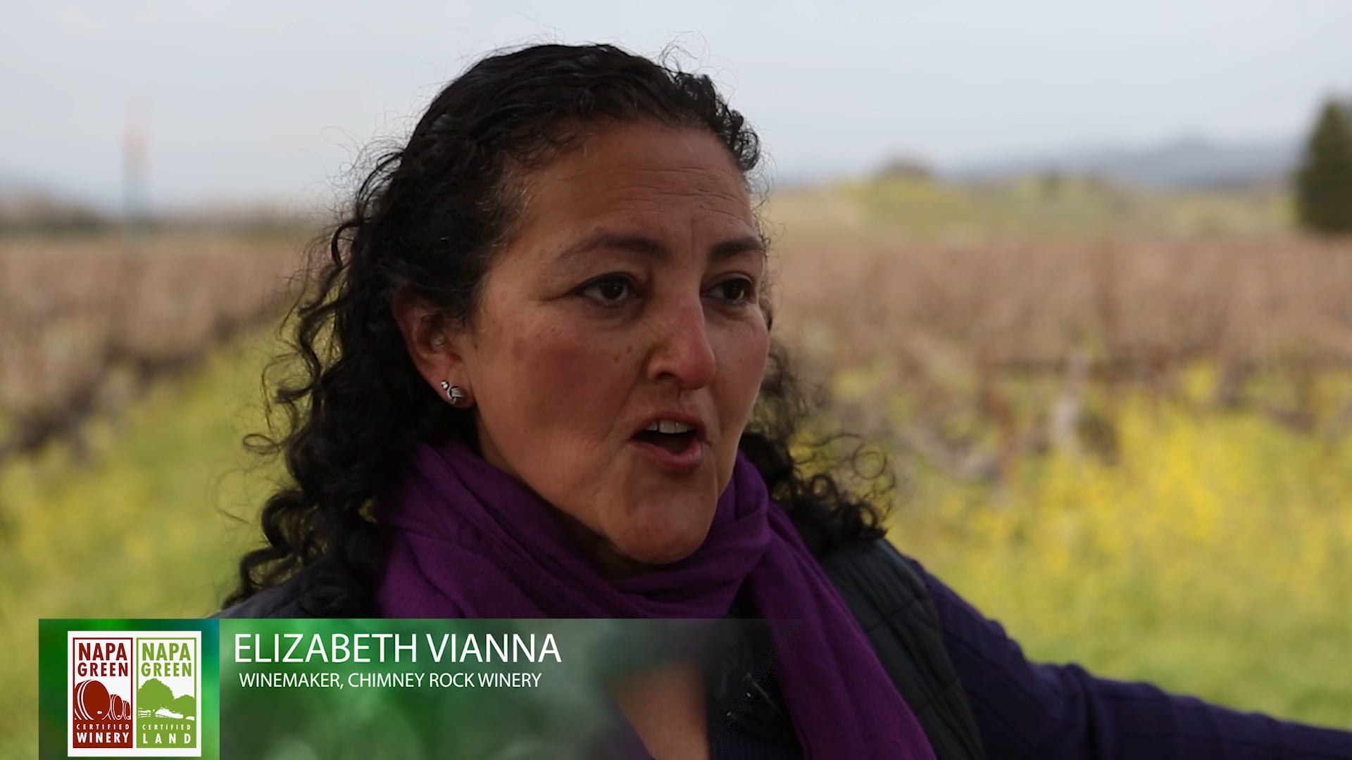 Napa Green Testimonial - Elizabeth Vianna, Winemaker, Chimney Rock ...